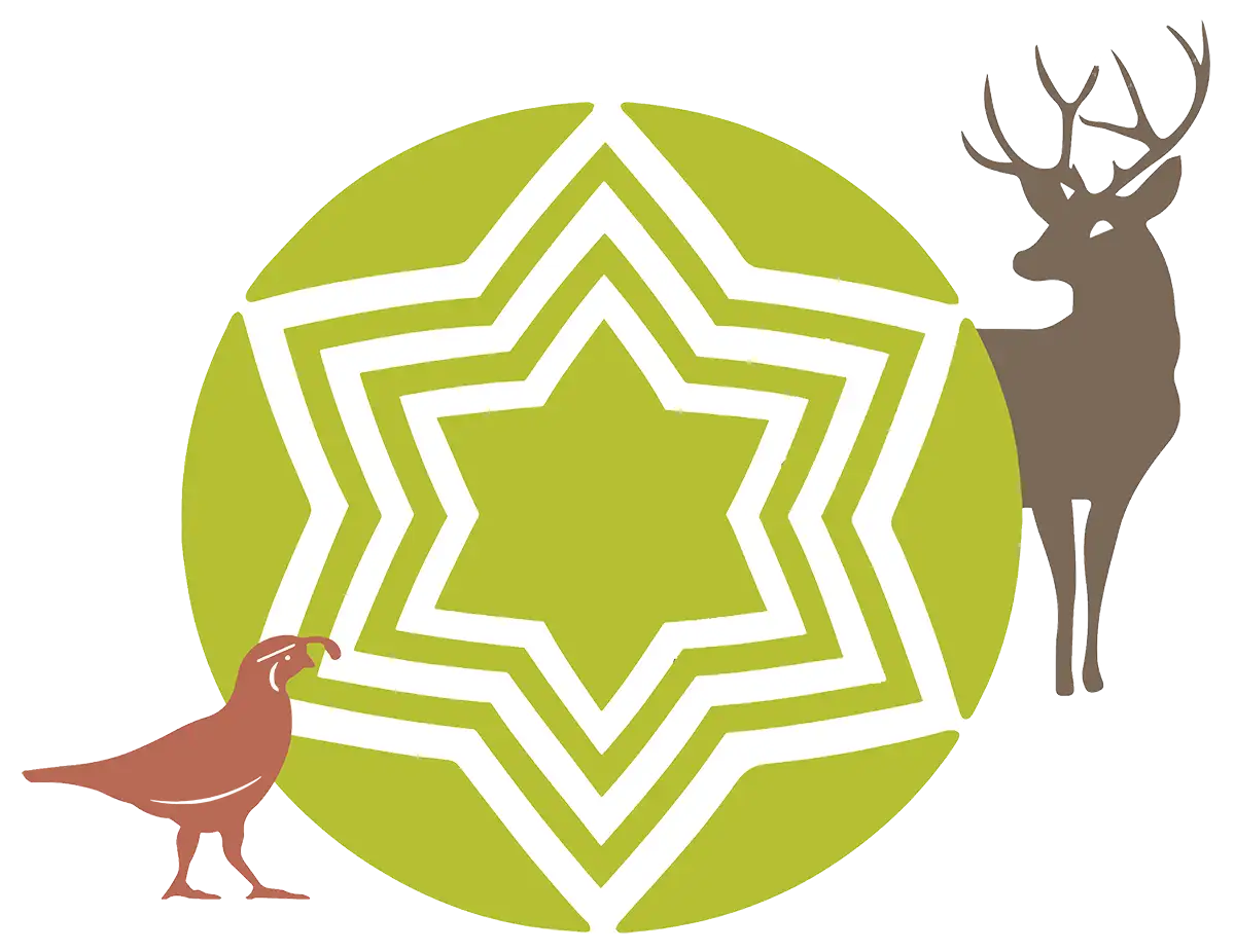 Texas Canyon Nature Preserve - Amerind Museum - Research Center ...